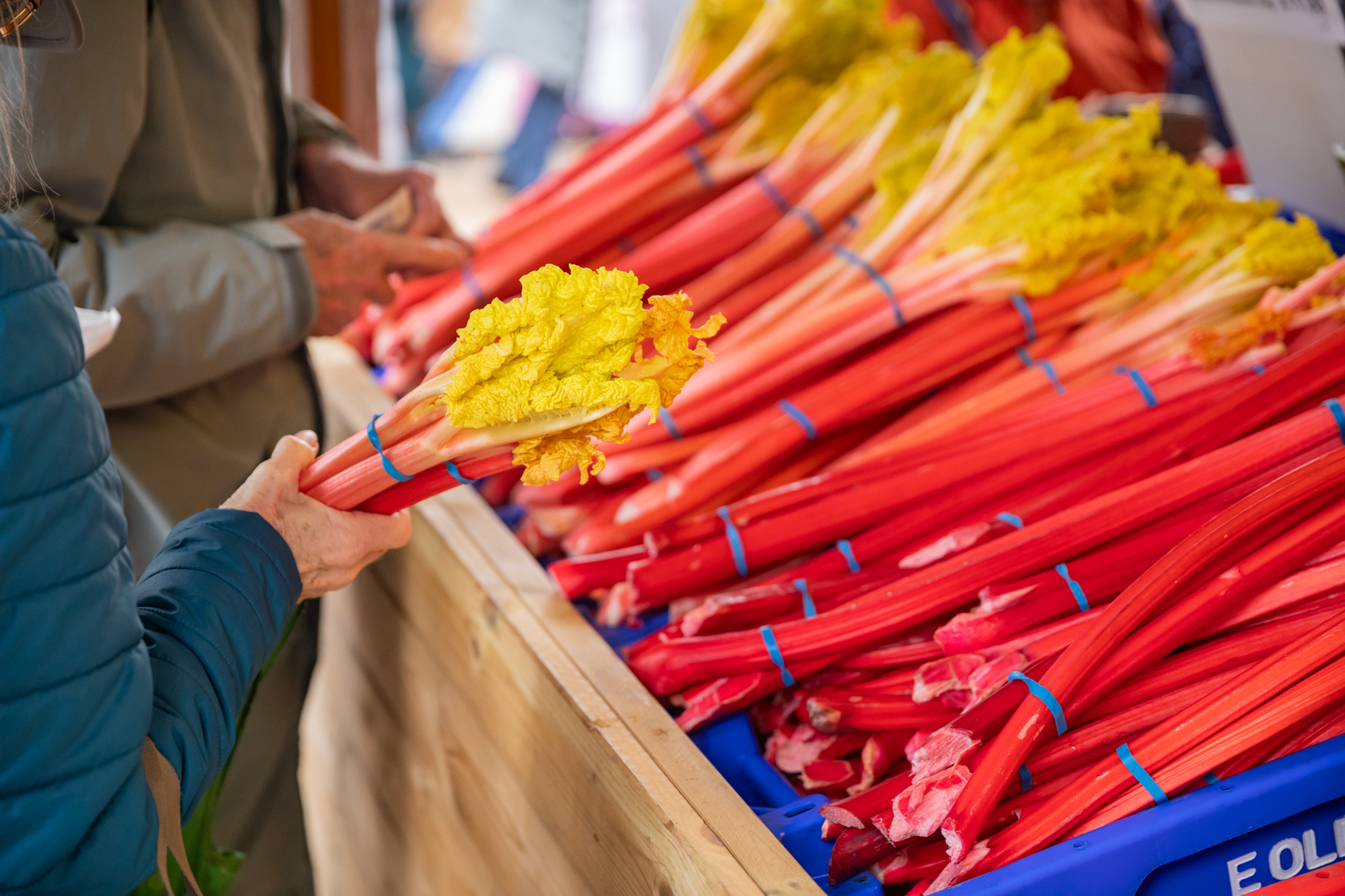 Wakefield Rhubarb Festival 2026 | Days Out Yorkshire